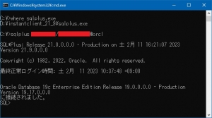 Instant Clientを使用してローカルからAWS RDSのORACLEにSQLPLUSで接続する | 現場スパイス ～ bSoF